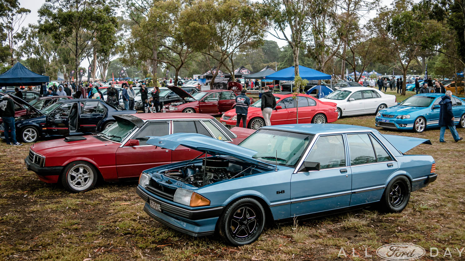 Gallery - All Ford Day